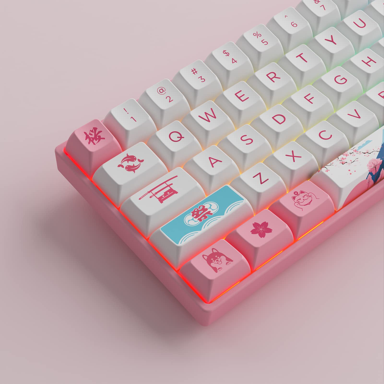 Buy Akko World Tour Tokyo 3061S 60% Pink Wired Mechanical Gaming ...