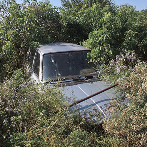 Amazon.com: Even Though There Is No Meaning : Tom Demers: Digital Music