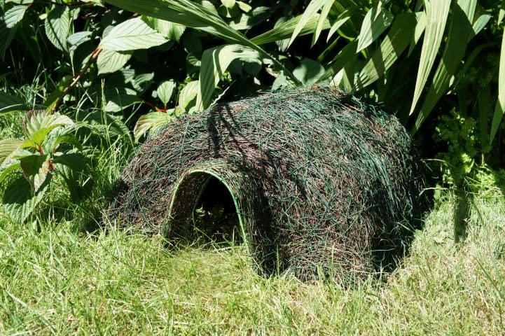 5 Best Hedgehog Houses For Hibernation - Buyer Guide & Tips