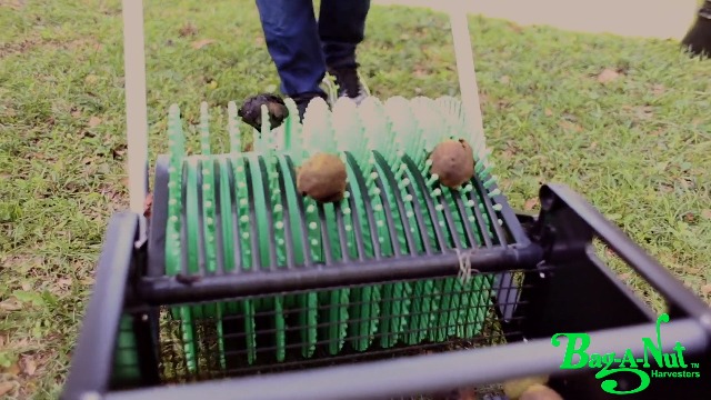Watch Black Walnut Picker Upper Collector - Bag-A-Nut Harvester on ...