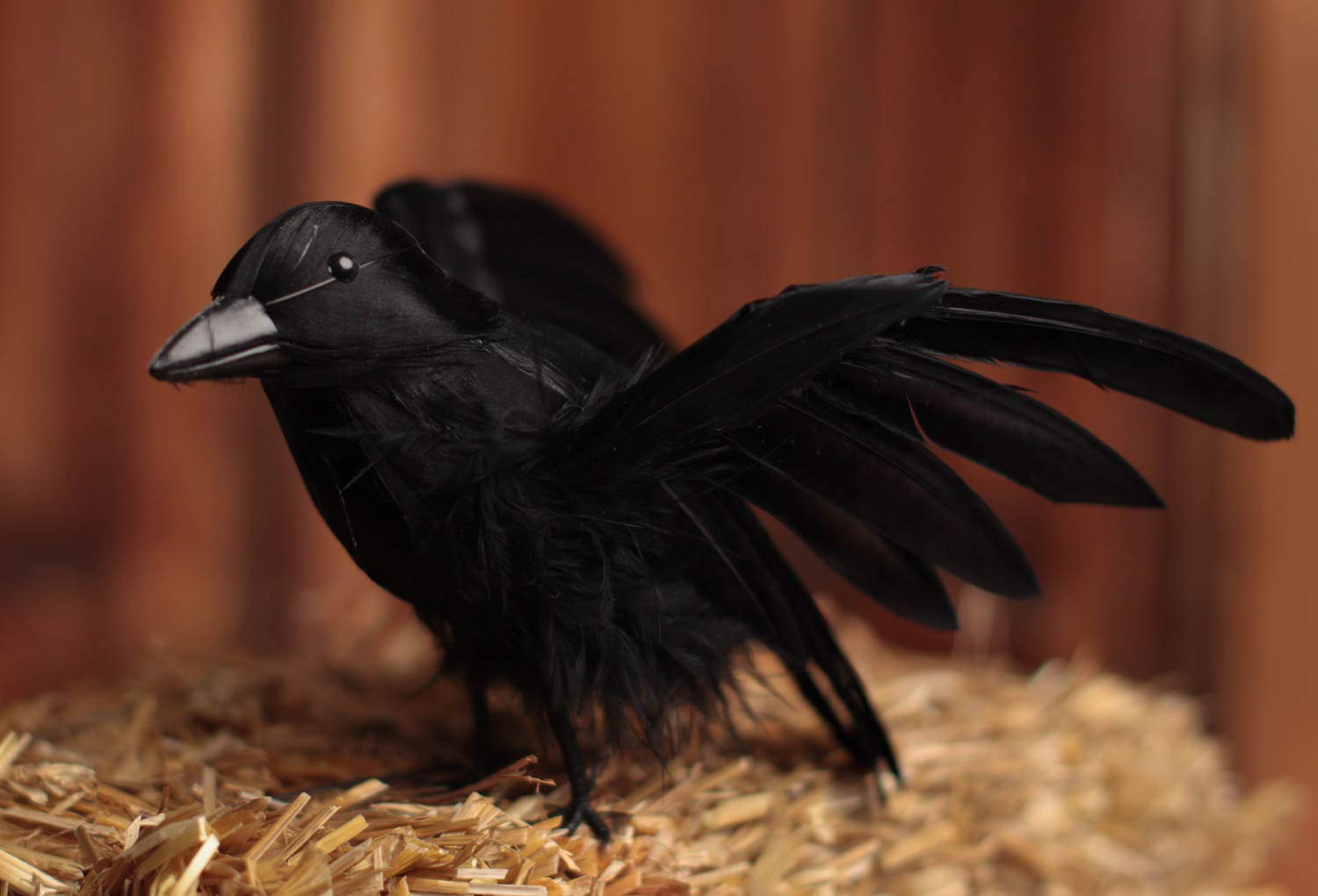 Scary Crow Flying Aggressive' Gospel Oak Crow Is Attacking At Least 20