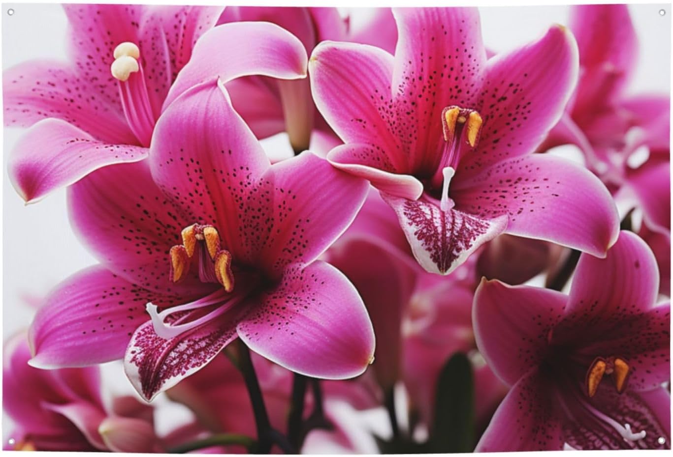 Amazon.com: Pink Lily Flowers Banner Party Decor Backdrop Banner ...