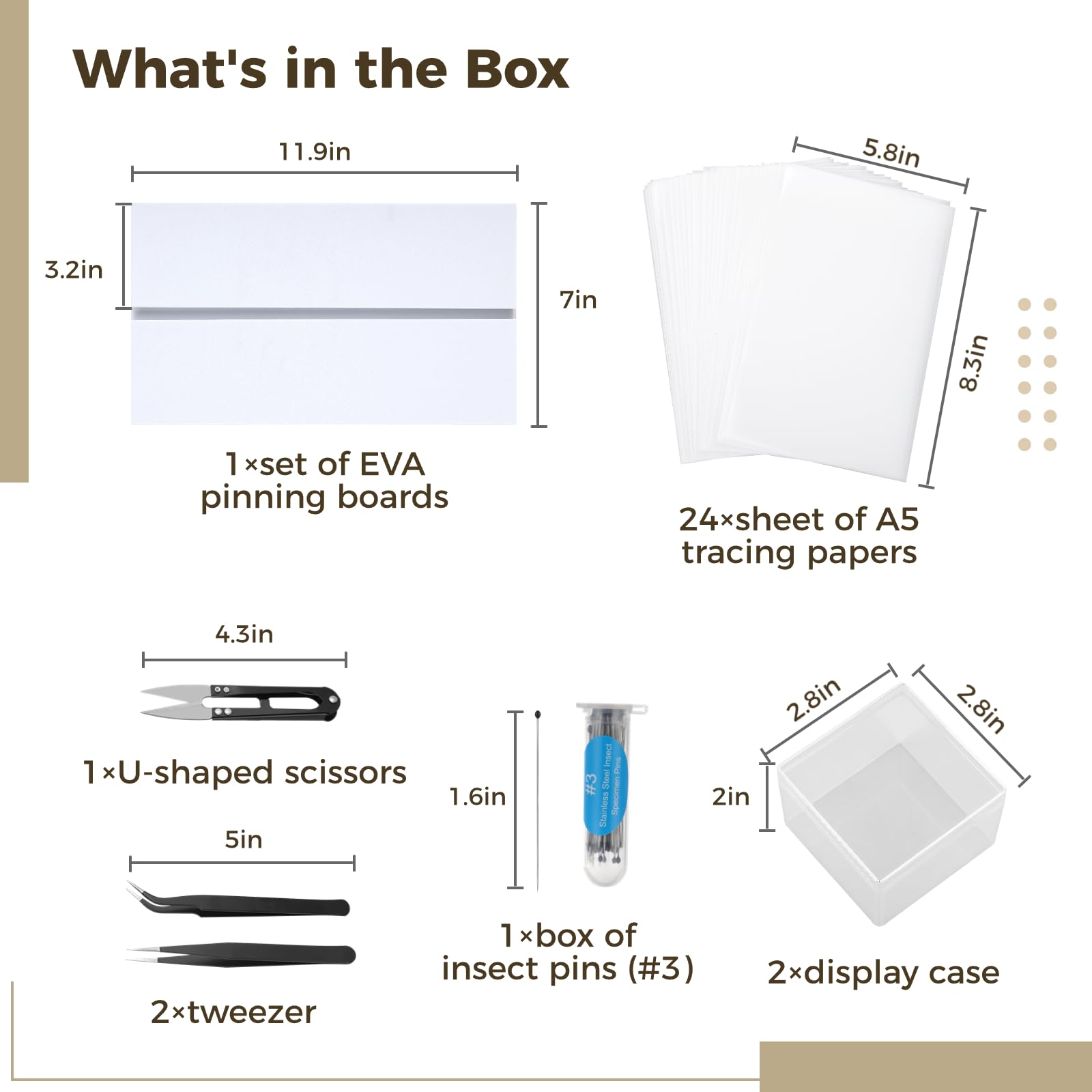 Snapklik.com : Insect Specimen Tools Kit, Butterfly Specimen Tools For ...