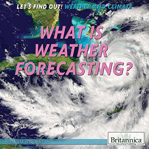 What Is Weather Forecasting? (Let's Find Out!, 6): Steinberg, Lynnae D ...