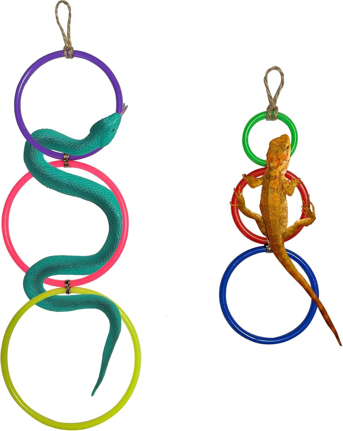 Amazon.com : 2PC Snake Enrichment Colorful Rings for Ball Python ...