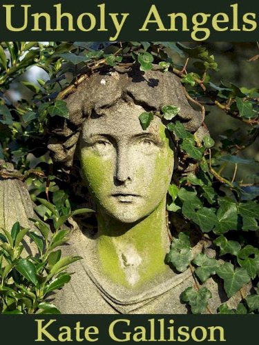 Unholy Angels eBook : Gallison, Kate: Amazon.co.uk: Kindle Store