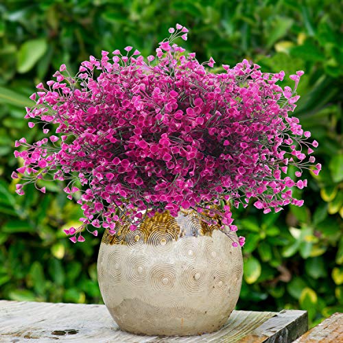 Buchsbaum Balkon – Die 15 besten Produkte im Vergleich - Hausbauberater ...