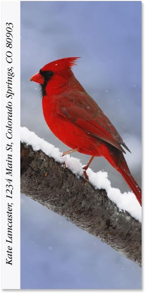 Amazon.com : Cardinals Winter Birds Holiday Round Return Address Labels ...