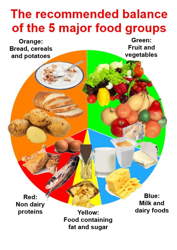 The Recommended Balance of The 5 Major Food Groups Sign Sticker ...