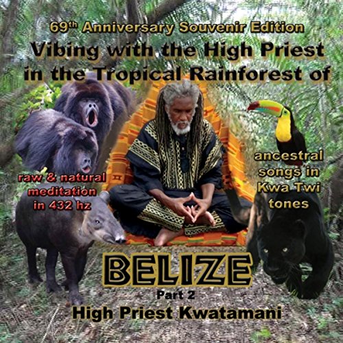 Amazon.com: Vibing With the High Priest in the Tropical Rainforest of ...