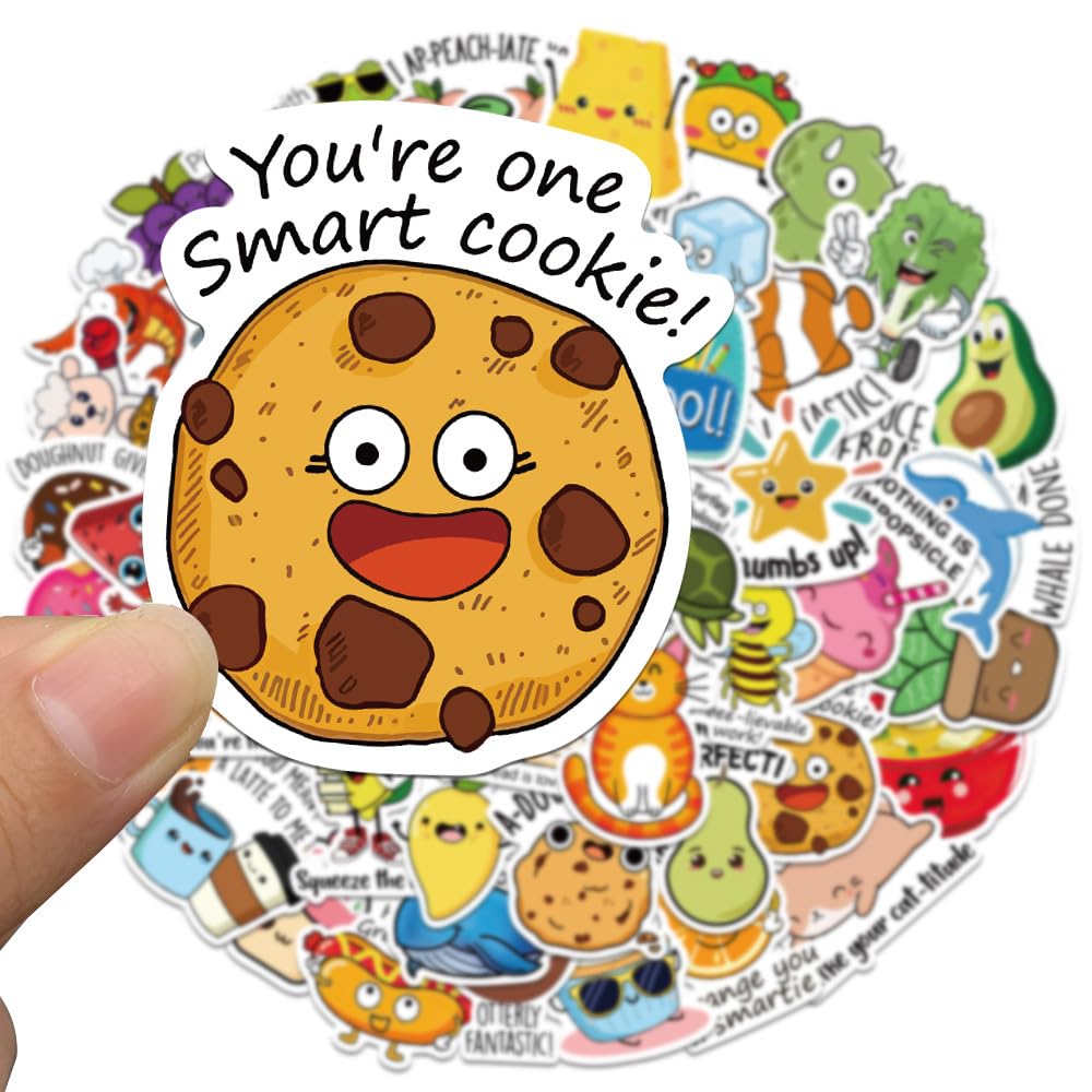 Amazon.com: Big Punny Reward Stickers for Kids,Punny Laptop Stickers ...