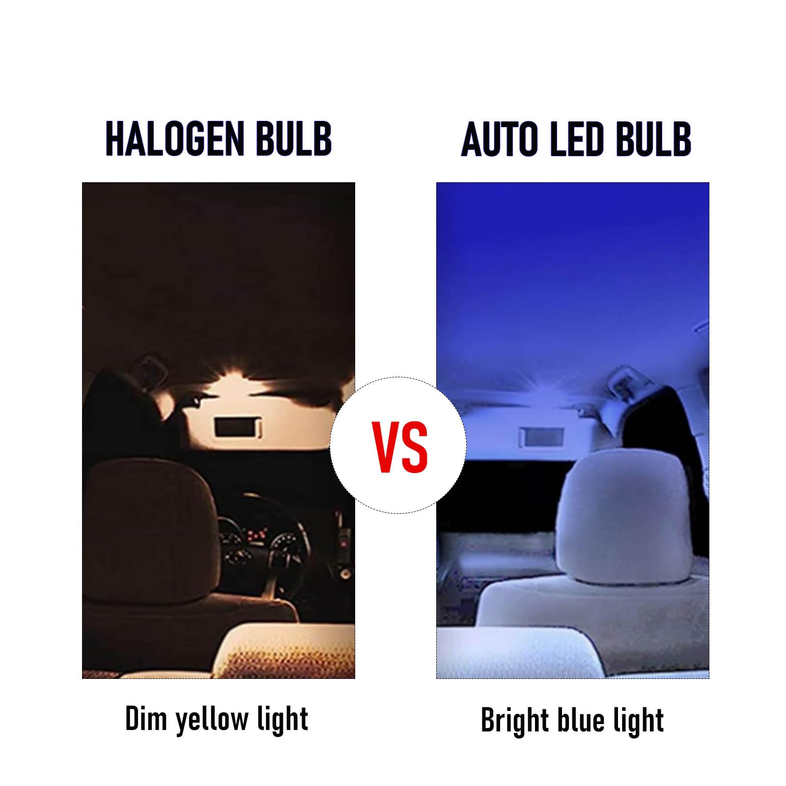 Snapklik.com : ZKFAR Pack-4 42mm LED Bulbs Extremely Bright, 3014 ...