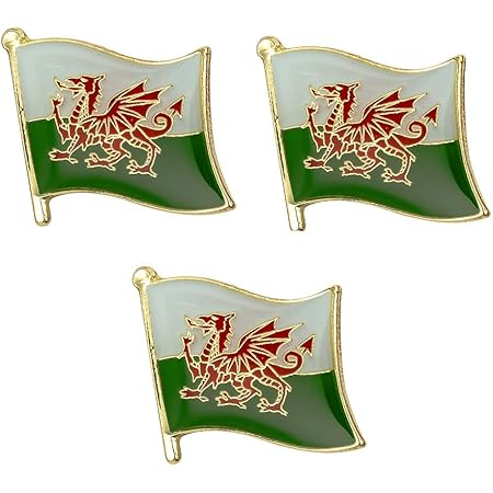 Metal Enamel Pin Badge Wales Dragon Welsh Flag Saint David Baner Cymru ...