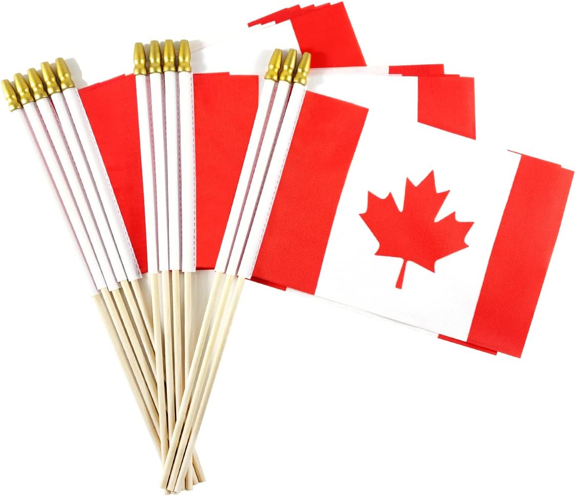 Amazon.com: TSMD Canada Stick Flag Canadian Small Mini Hand Held Flags ...