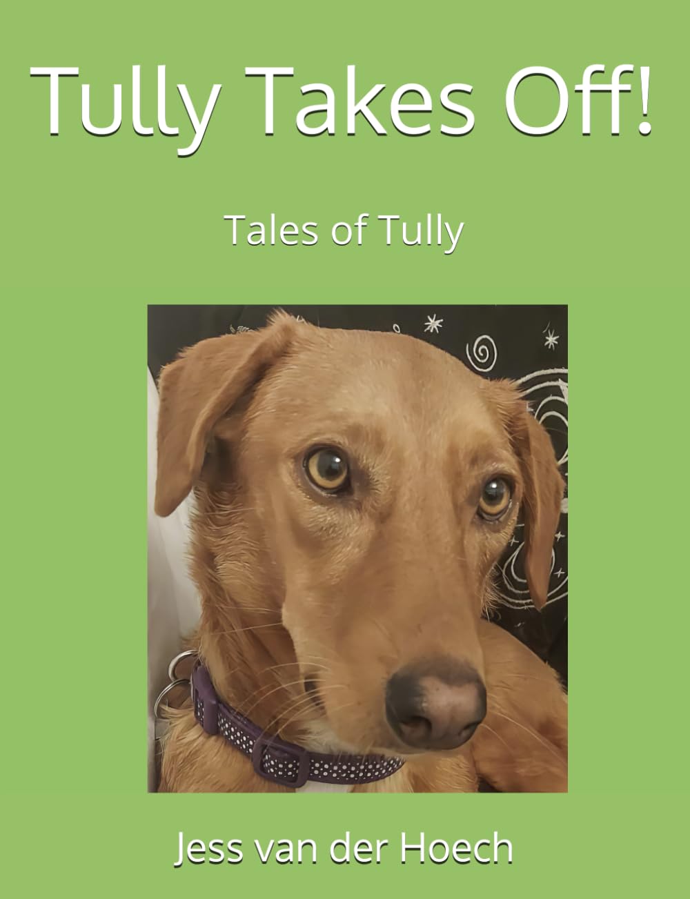 Tully Takes Off!: 2 (Tales of Tully) : van der Hoech, Jess: Amazon.co ...