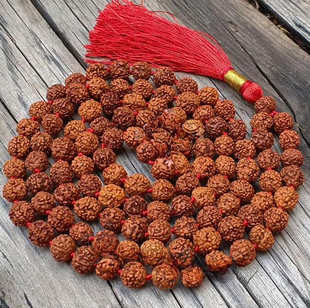 FOREVER Gems Rare 5 Mukhi Rudraksha Mala Original Certified 108 Beads ...
