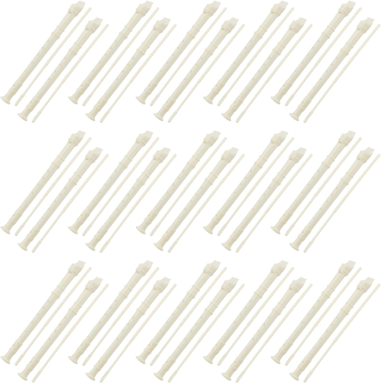 Amazon.com: KEILEOHO 30 PCS 8 Holes Recorder Instrument, Descant ...