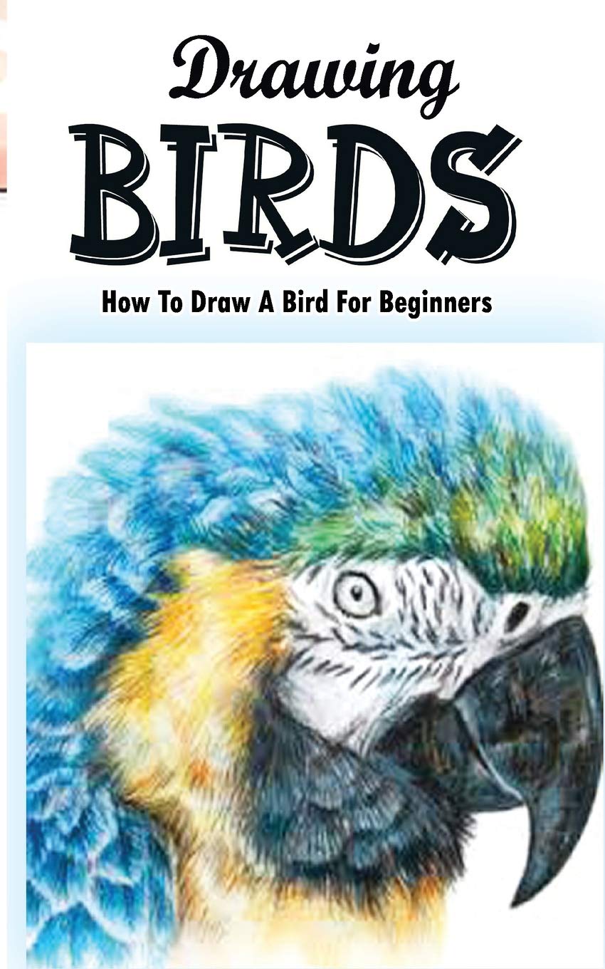 Macaw Drawing Step By Step
