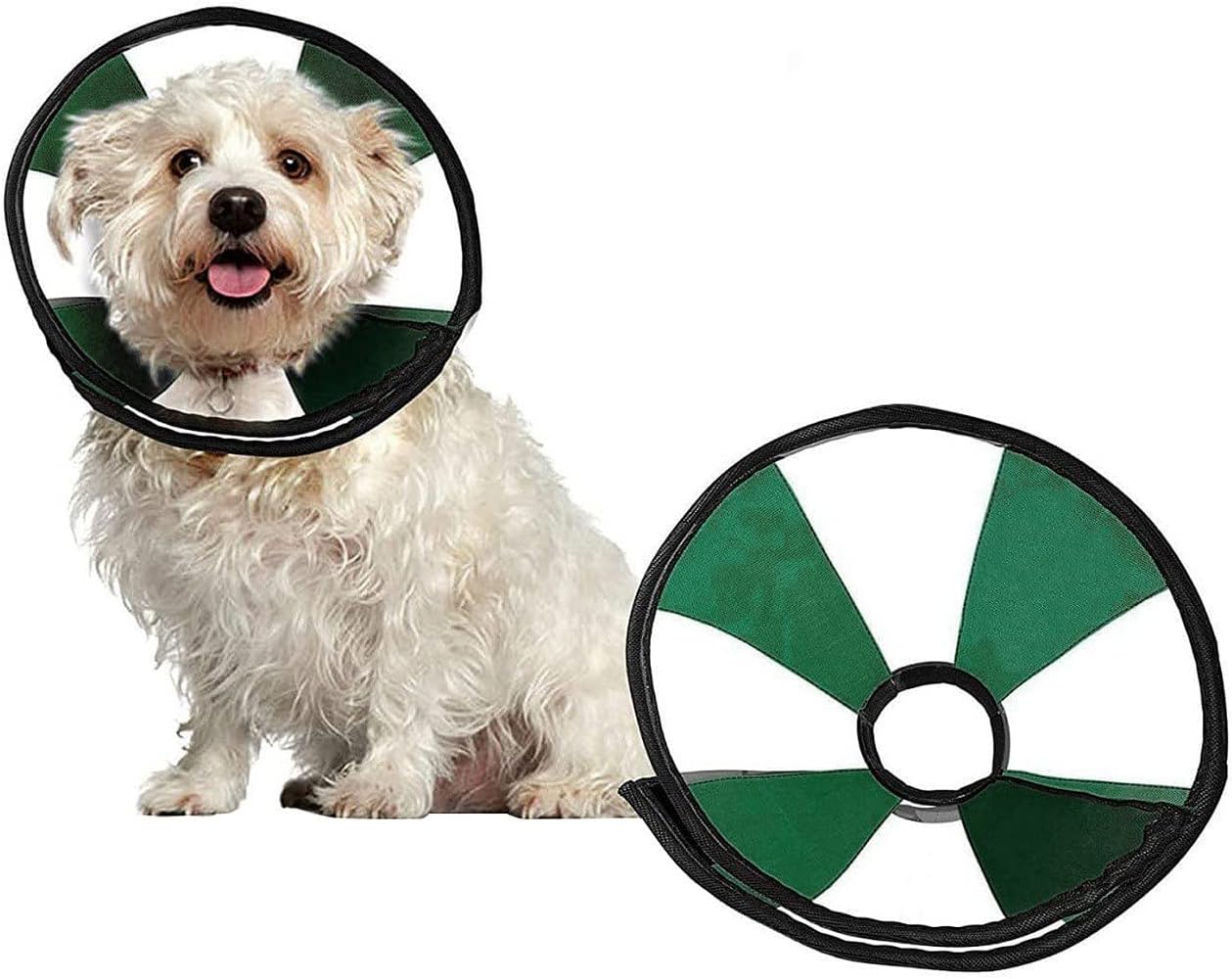 Amazon.com : ProCollar Pet Recovery Cone E-Collar for Dogs and Cats ...