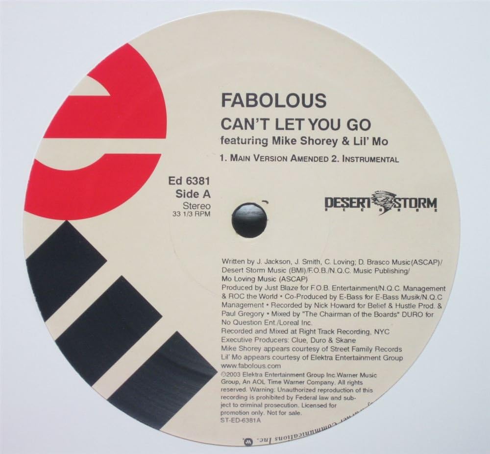 Can't Let You Go / Damn (Vinyl): Fabolous: Amazon.ca: Music