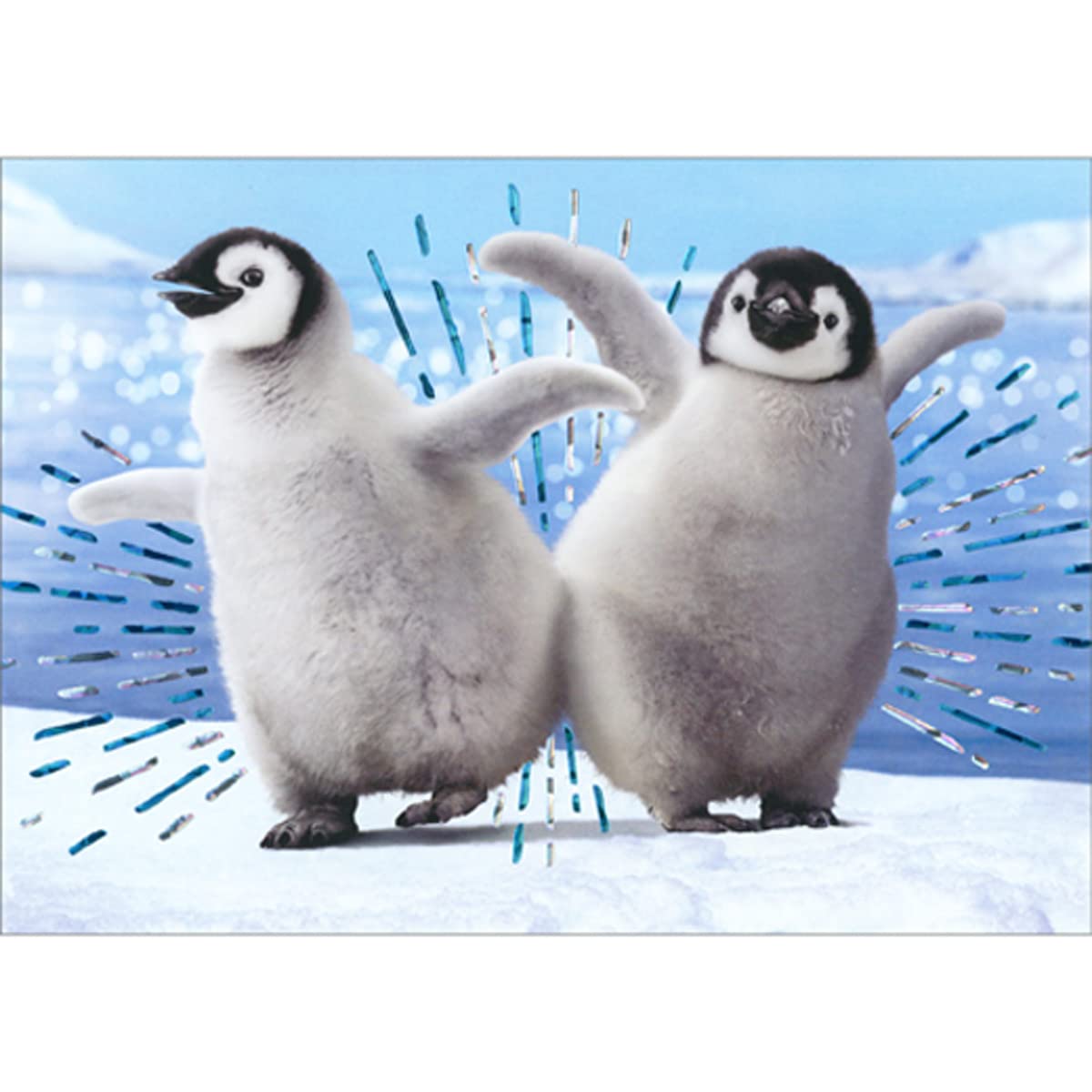 Penguin Push Memes