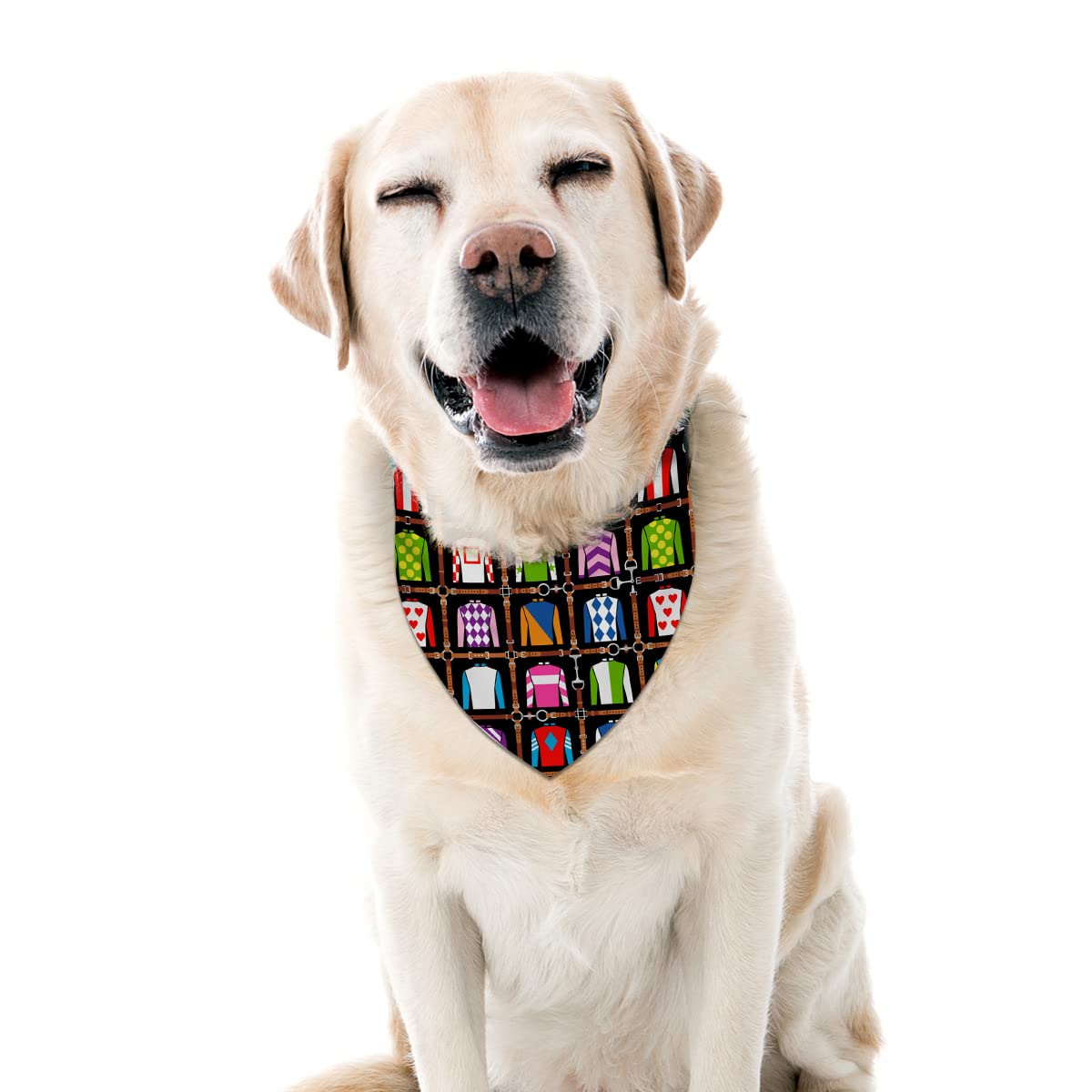 Snapklik.com : Kentucky Derby Dog Bandana Jockey Attire Triangle Dog ...