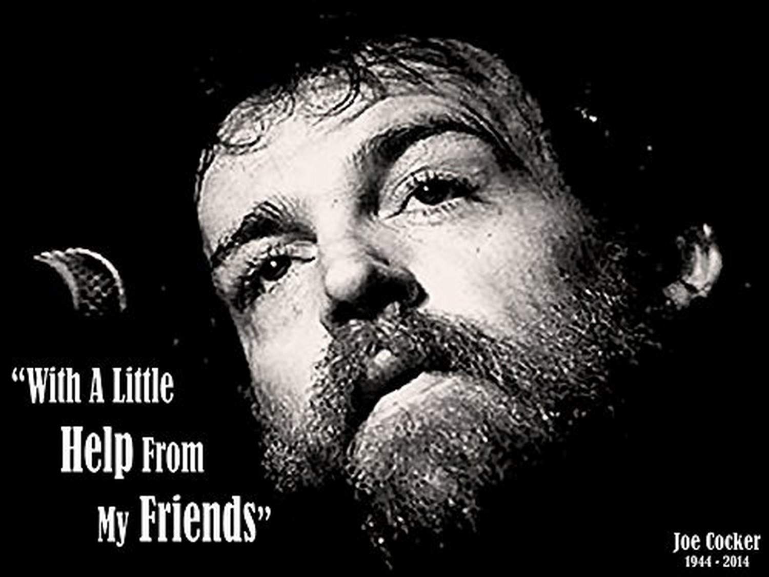 Joe Cocker Quotes