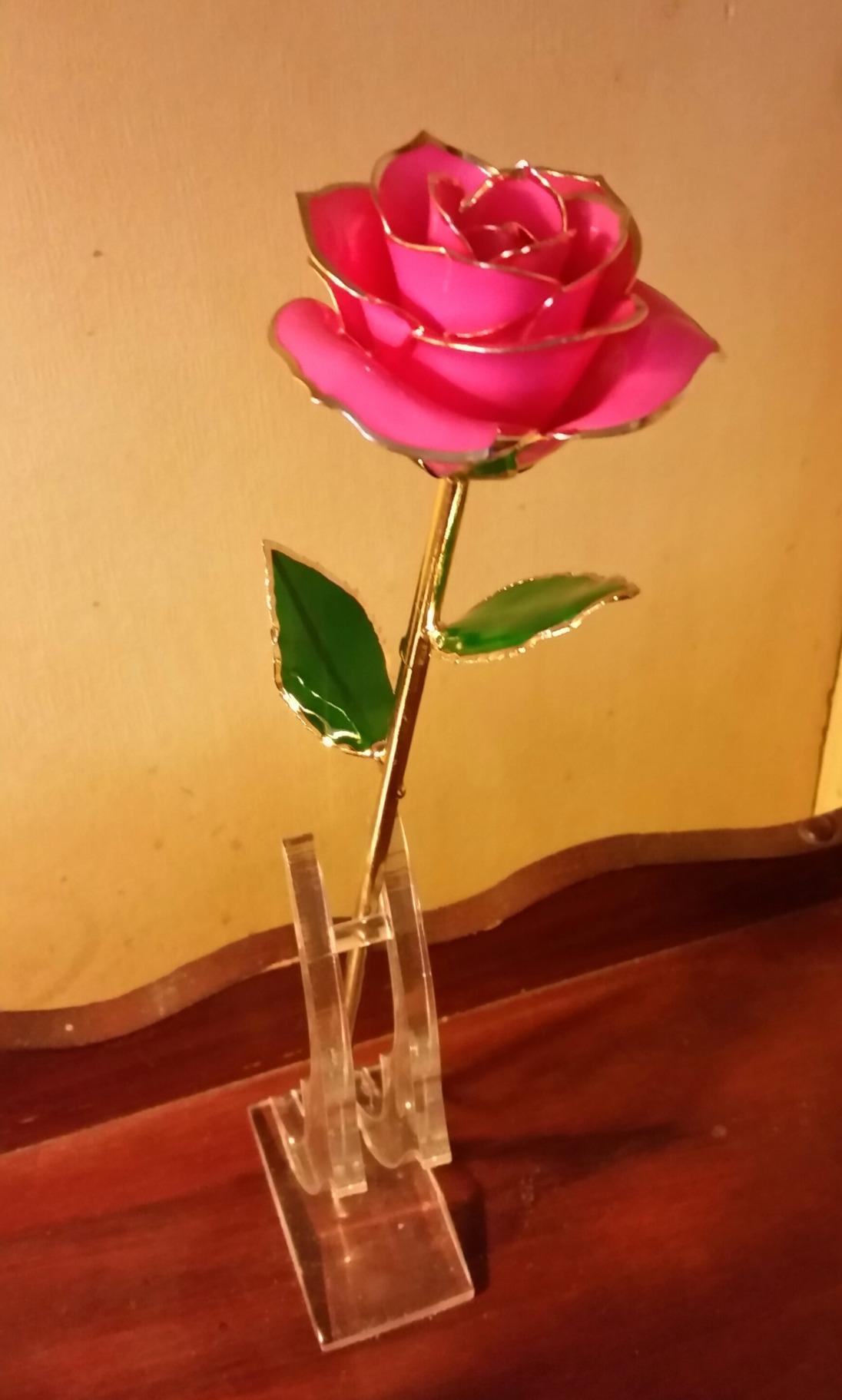 Amazon.com: Gold Rose, Love Forever Long Stem Gold Foil Trim Dipped 24K ...