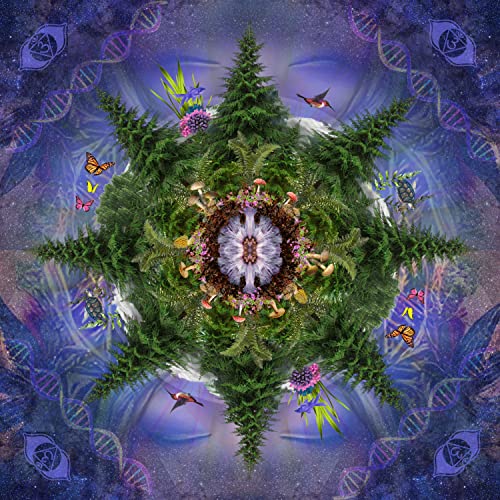 Gaian Mind by B+ on Amazon Music Unlimited