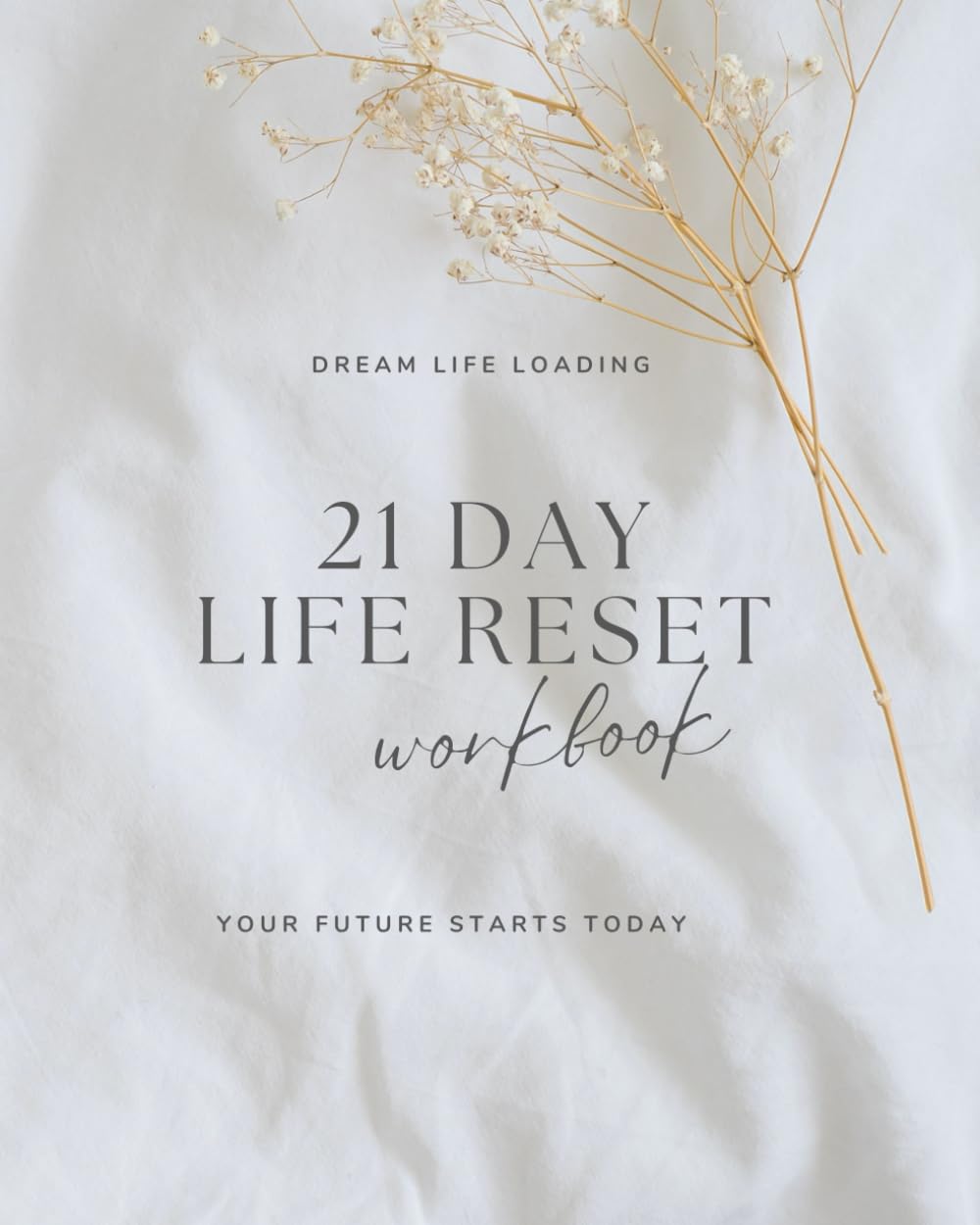 21 Day Life Reset Workbook: Loading, Dream Life: 9798321219898: Amazon ...