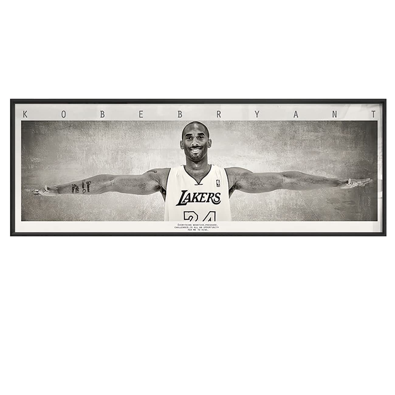 Lebron James Arm Span