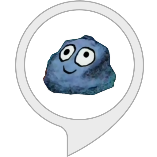Amazon.com: My Pet Rock : Alexa Skills