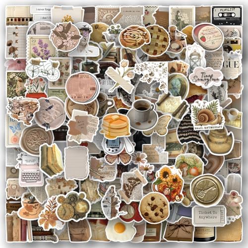 Amazon.com: 100PCS Aesthetics Stickers,Clean Girl Aesthetic Stickers ...
