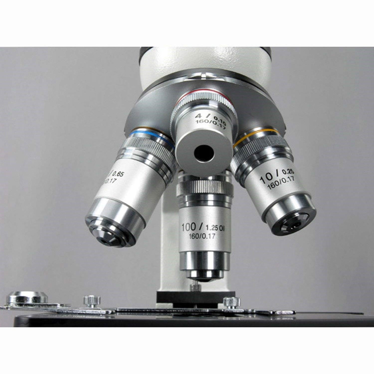 Manual Pdf AmScope M150-MS Compound Monocular Microscope, WF10x ...