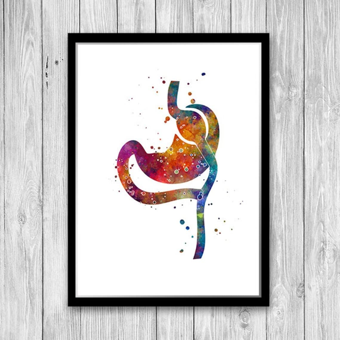 Amazon.com: Ara Step Medical Anatomy, Science Poster Prints 5 (Roux-en ...