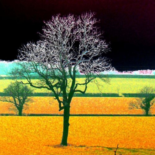 Amazon.co.jp: Children of Leir EP : Children of Leir: デジタルミュージック