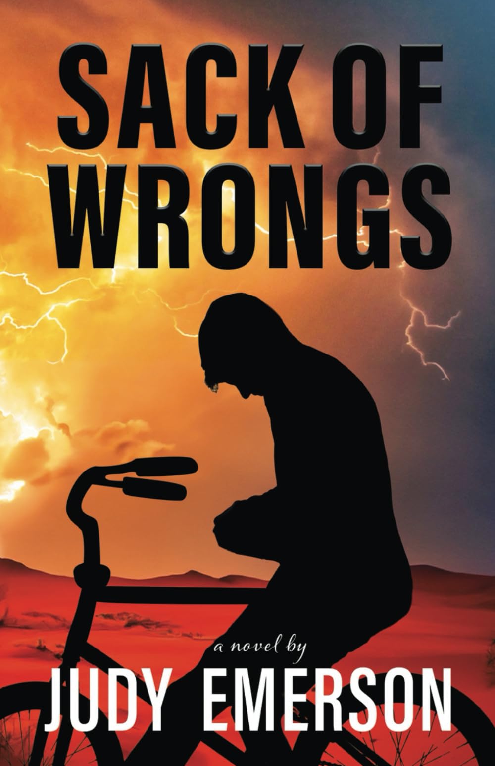 Amazon.com: Sack of Wrongs: 9798989843428: Emerson, Judy: Books
