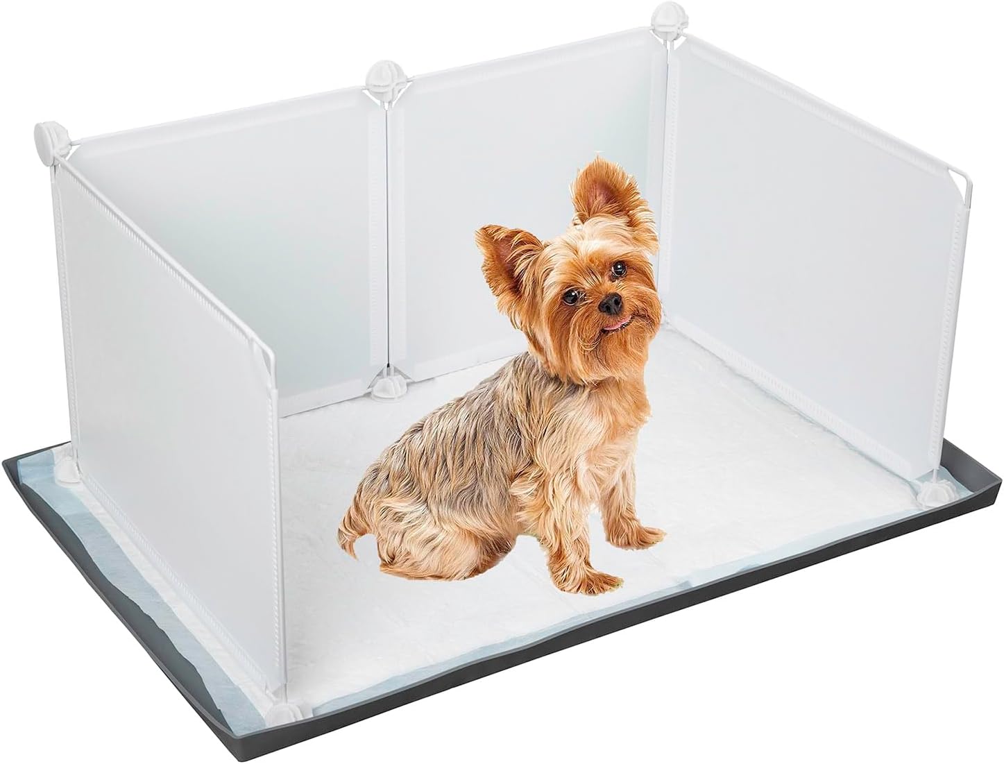 Amazon.com: Dog Litter Box with High Walls,Indoor Dog Potty for Small and Medium Dogs Like ...