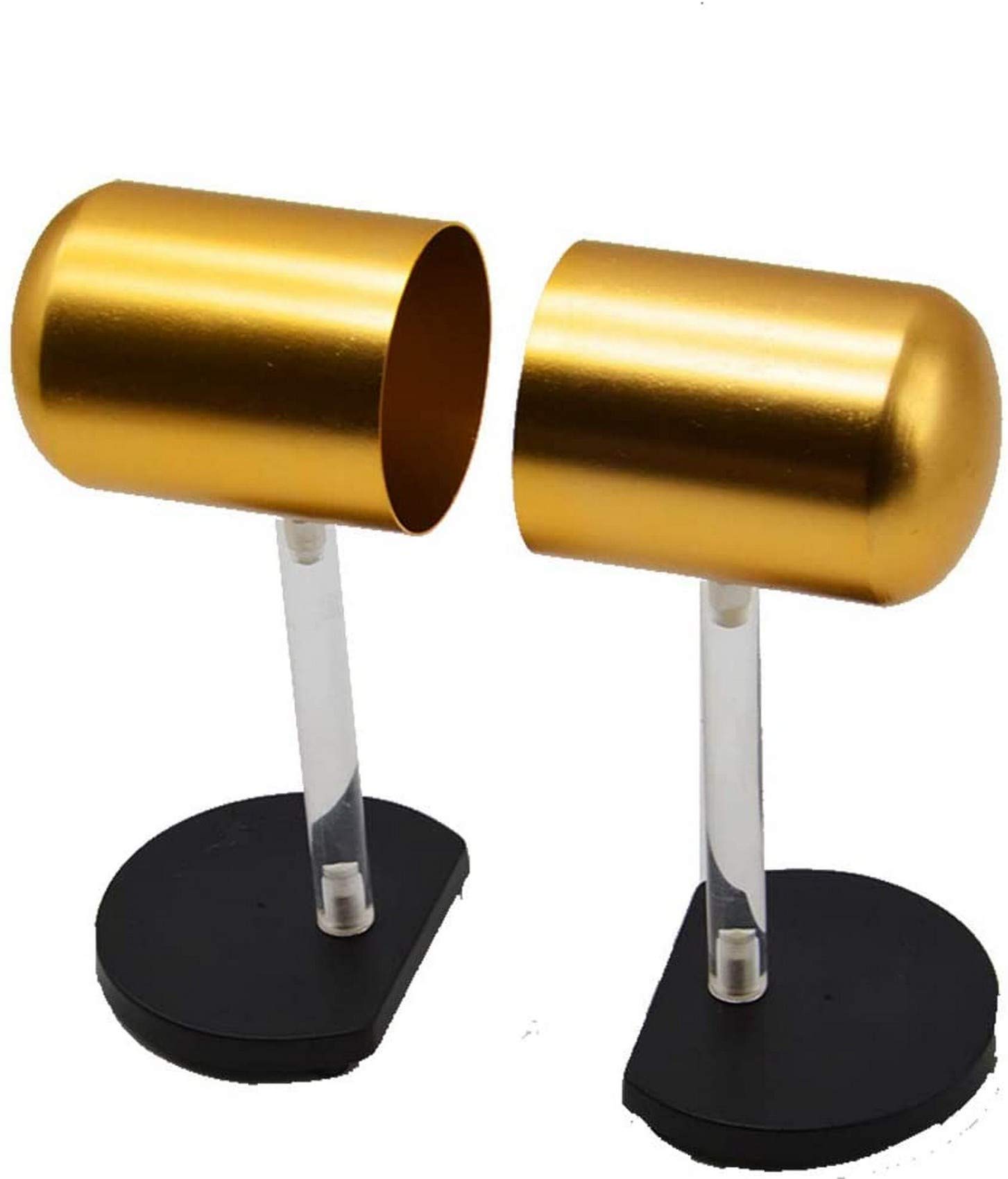 Buy Physical Experiment Model For Demonstrate Electrostatic Induction ...