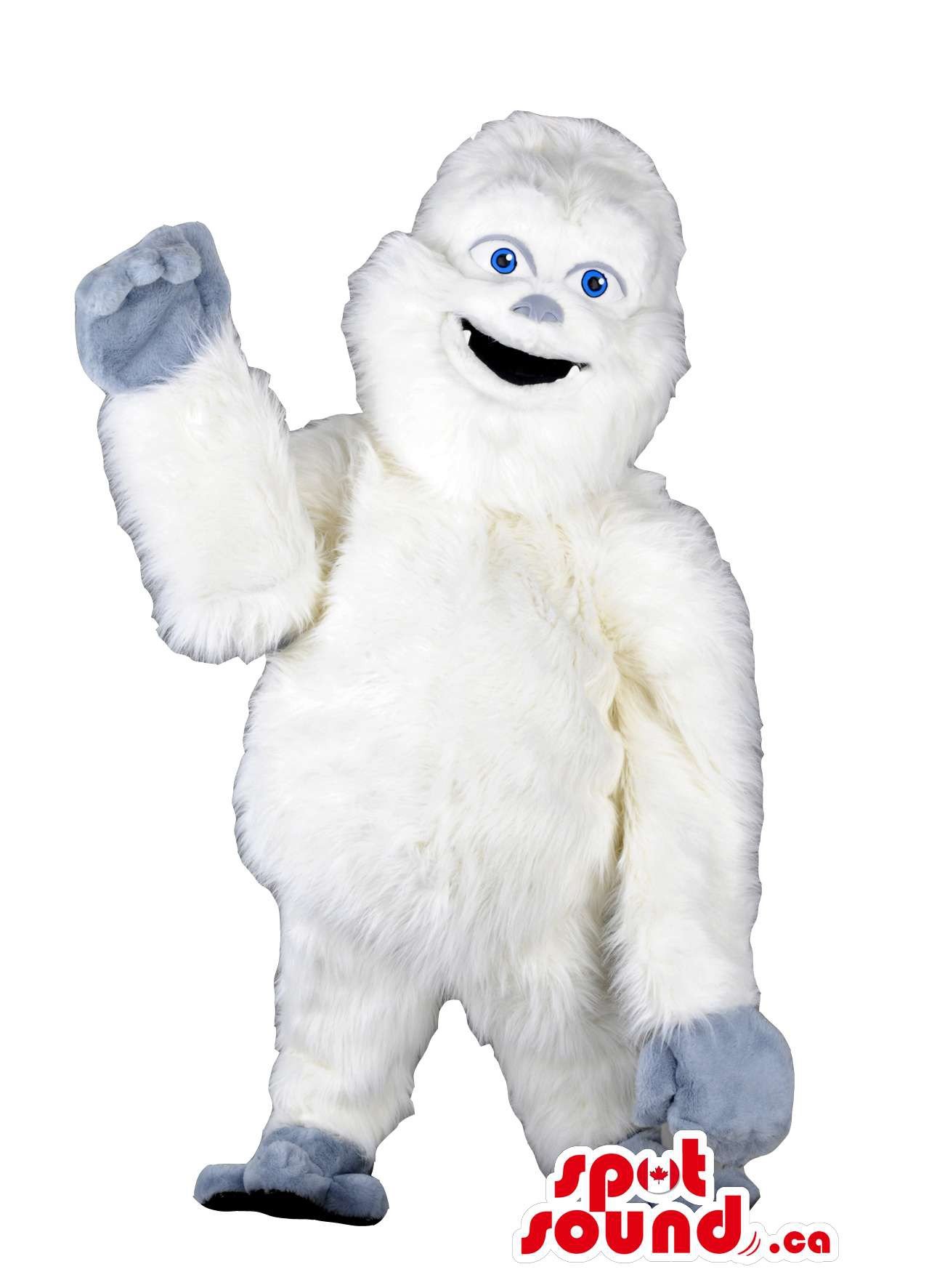 Smiling White Gorilla