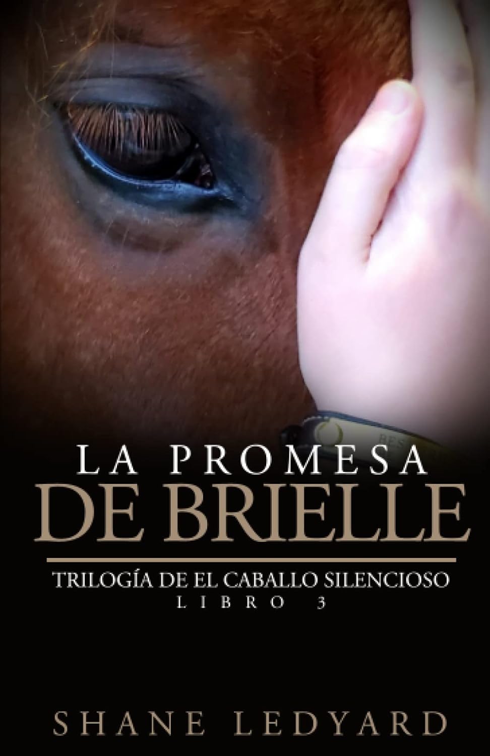 La Promesa de Brielle: Trilogía de El Caballo Silencioso Libro 3 ...
