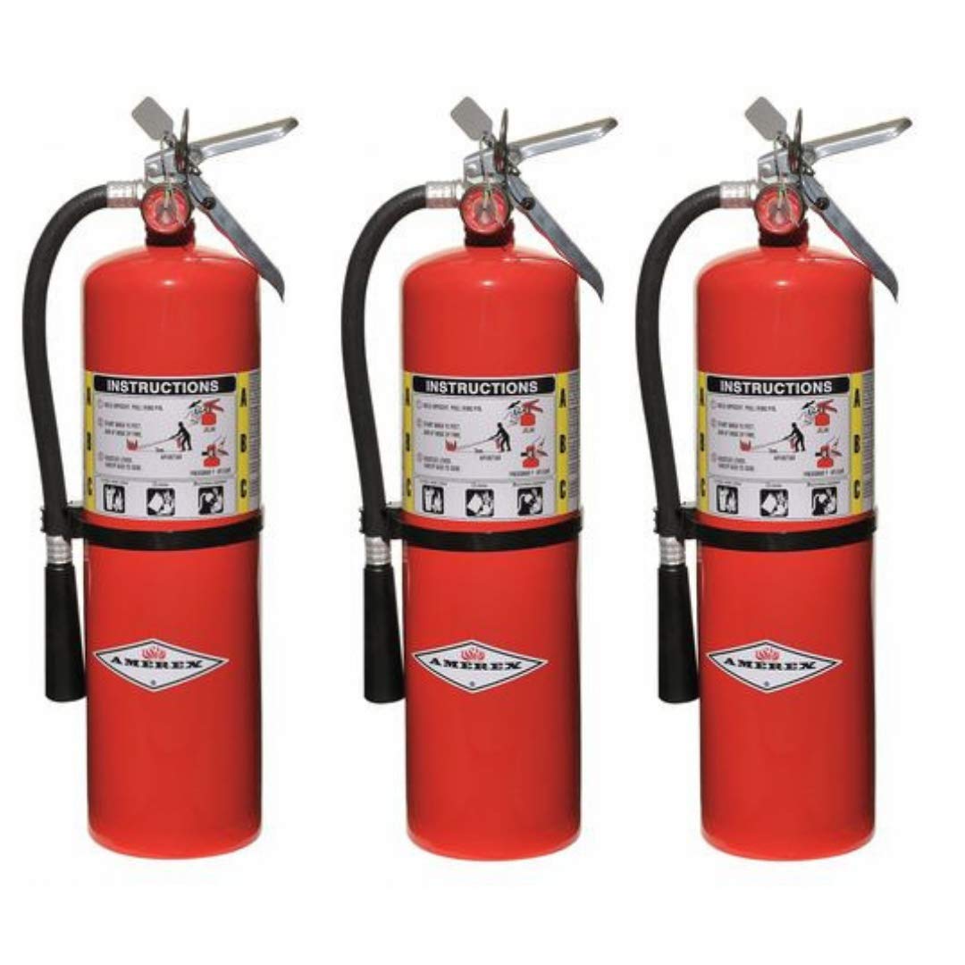 Buy Amerex 10 Pound Stored Pressure ABC Dry 4A 80B C Steel Multi