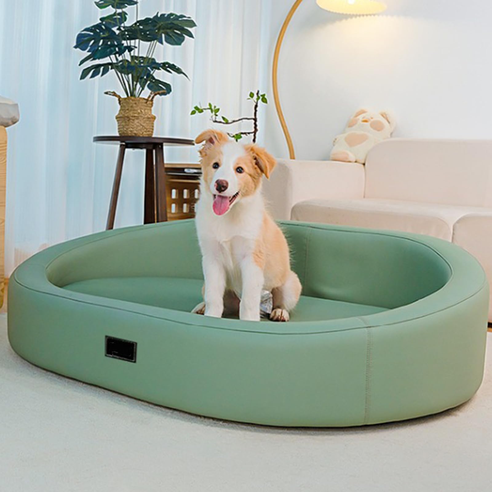 Lindos Bordes De Perros 900+ Ideas De Perritos Hermosos En 2025