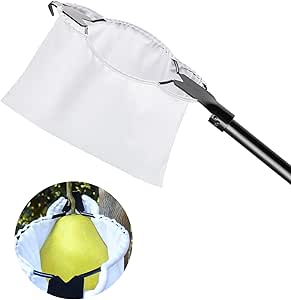 Amazon.com : Fruit Picker Pole Tool with Basket Telescoping ...