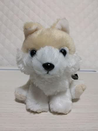 Amazon.co.jp: アミューズ AMUSE もふっとオオカミ 大陸ちゃん AMUFUN : おもちゃ