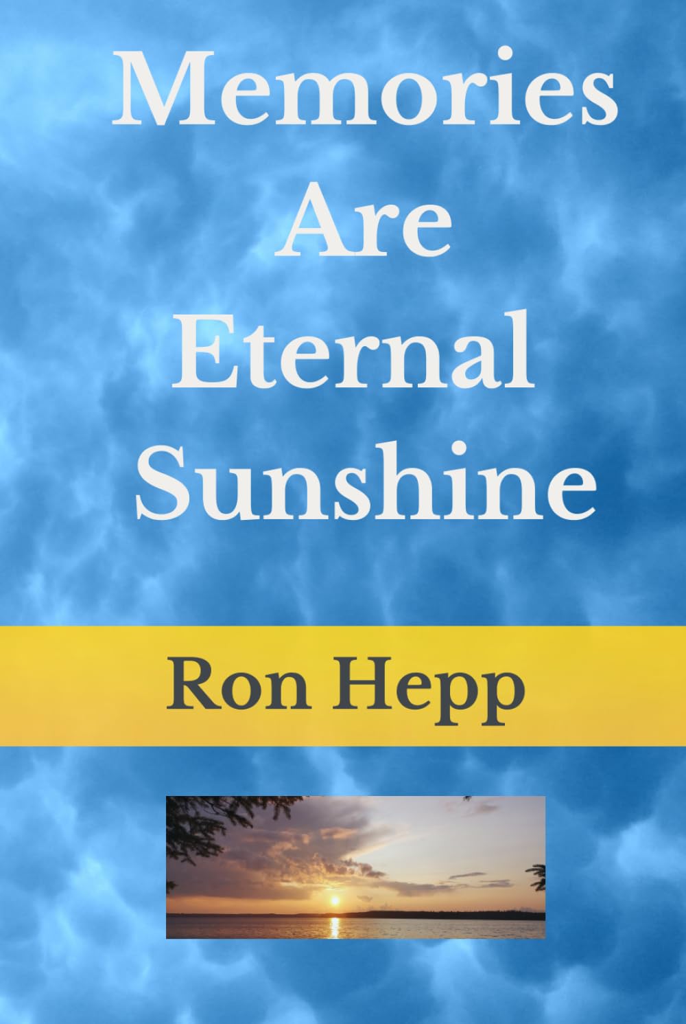 Amazon.com: Memories Are Eternal Sunshine: 9798871308929: Hepp, Ron: Books