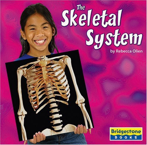 The Skeletal System (Human Body Systems): Olien, Rebecca: 9780736854146 ...