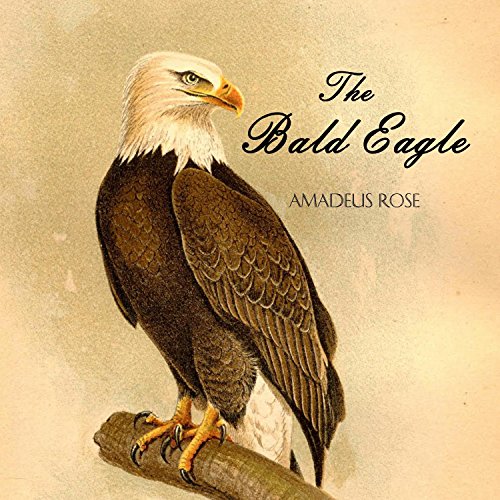 Play The Bald Eagle by Amadeus Rose on Amazon Music