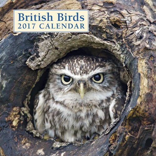 2017 Calendar: British Birds: Peony Press: 9780754832454: Amazon.com: Books