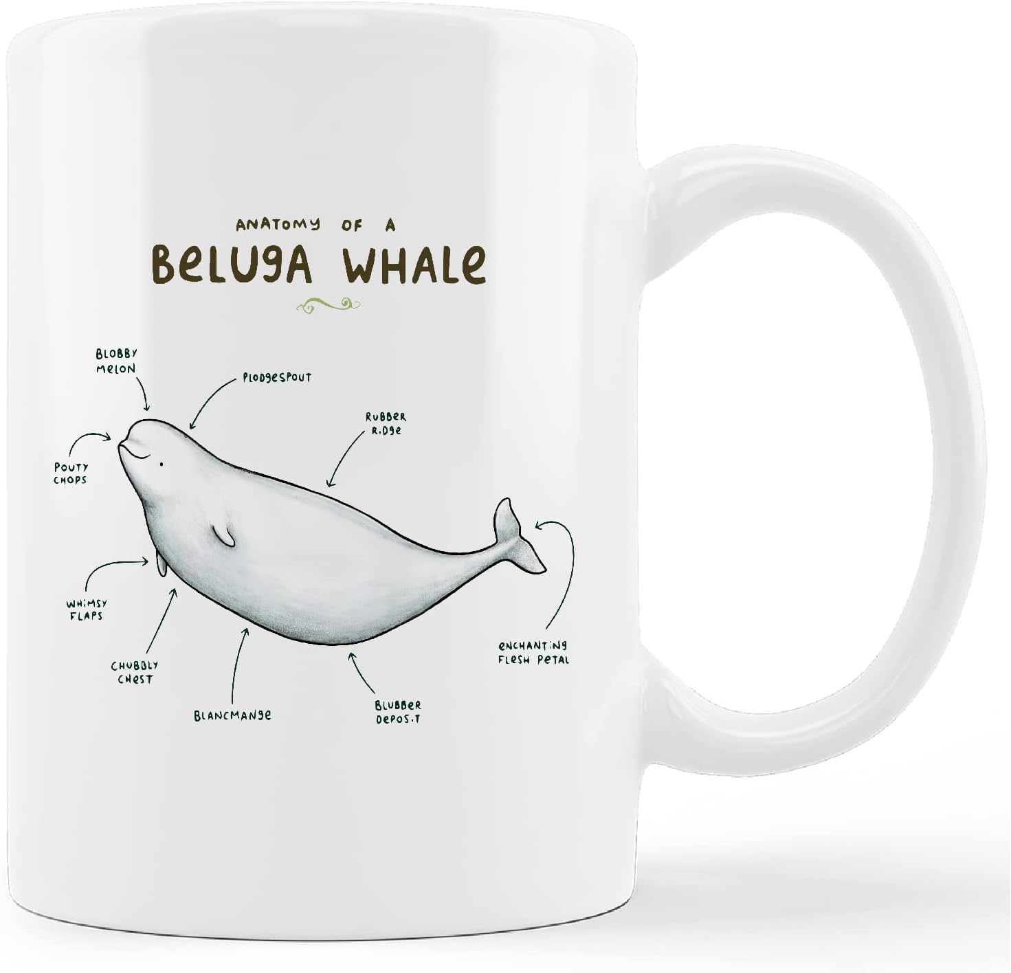 Amazon.com: kunlisa Cute Beluga Whale Mug Cup,Anatomy of A Beluga Whale ...